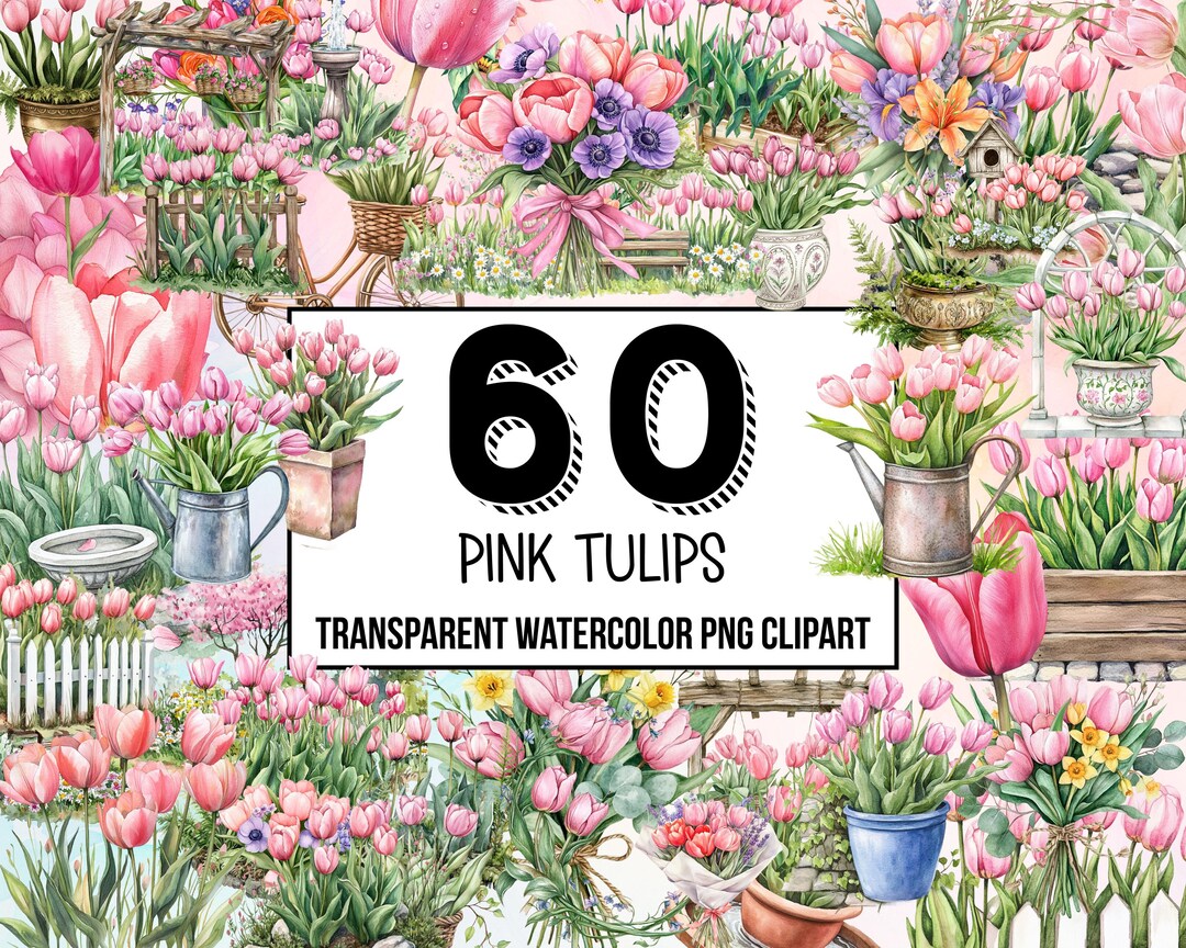 Pink Tulips Watercolor Clipart, Floral Tulip Bouquet, Spring Tulip PNG ...