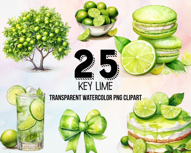 Key Lime Clipart Set - Watercolor Lime Illustrations - Citrus Fruit Art ...