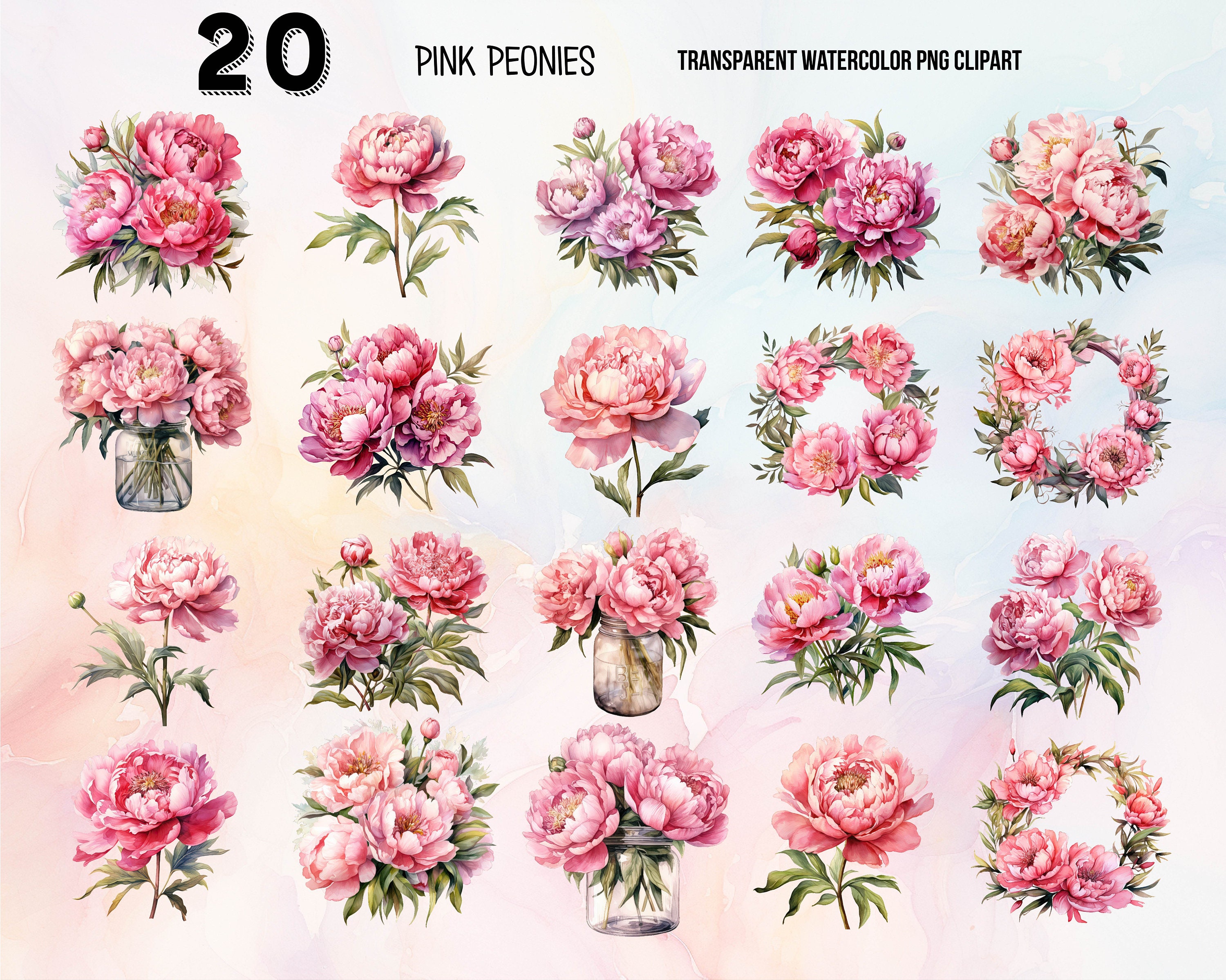 Pink Peony Clipart Collection Pack Watercolor Floral Illustrations ...