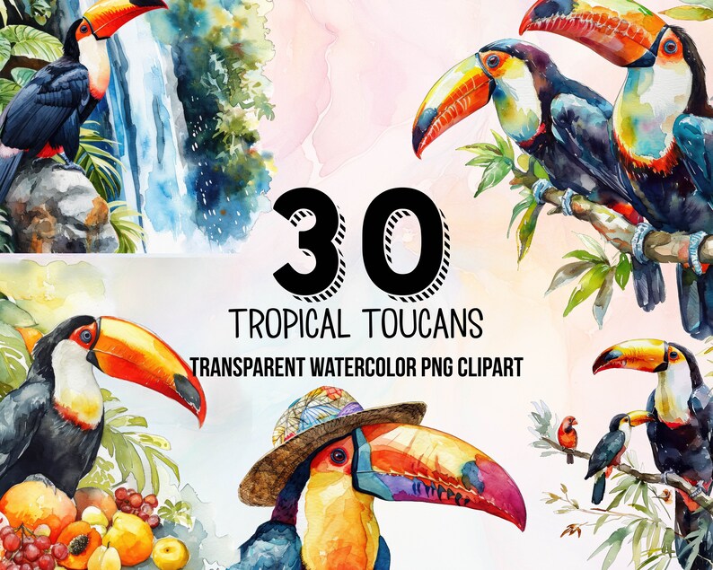 Tropical Toucans Clipart Set Digital Download, Digital Planner, Instant ...
