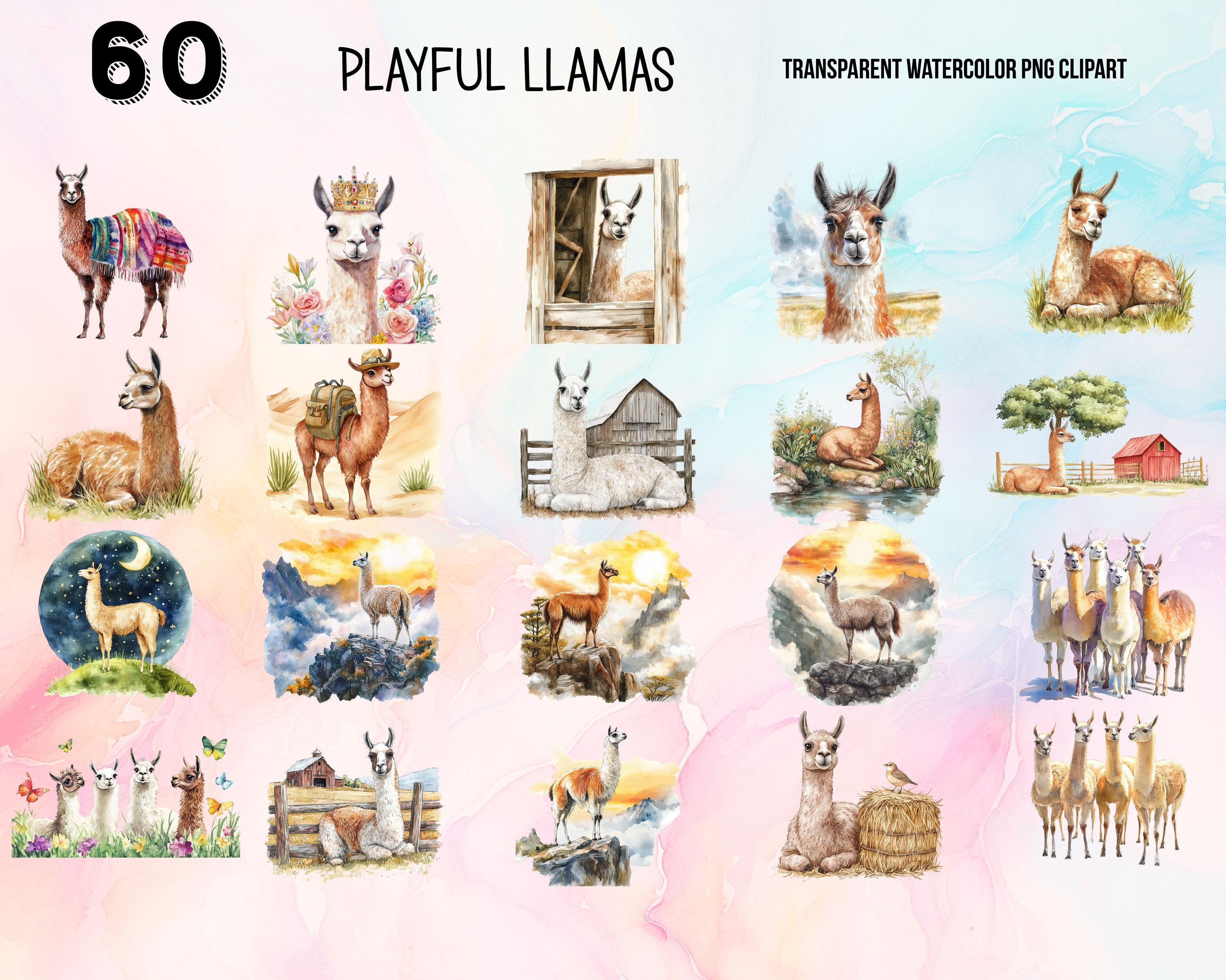 Playful Llamas Clipart Collection – Watercolor Llama and Alpaca ...