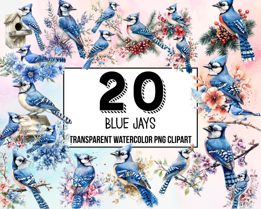 Blue Jays Clipart Set Digital Download, Digital Planner, Instant ...
