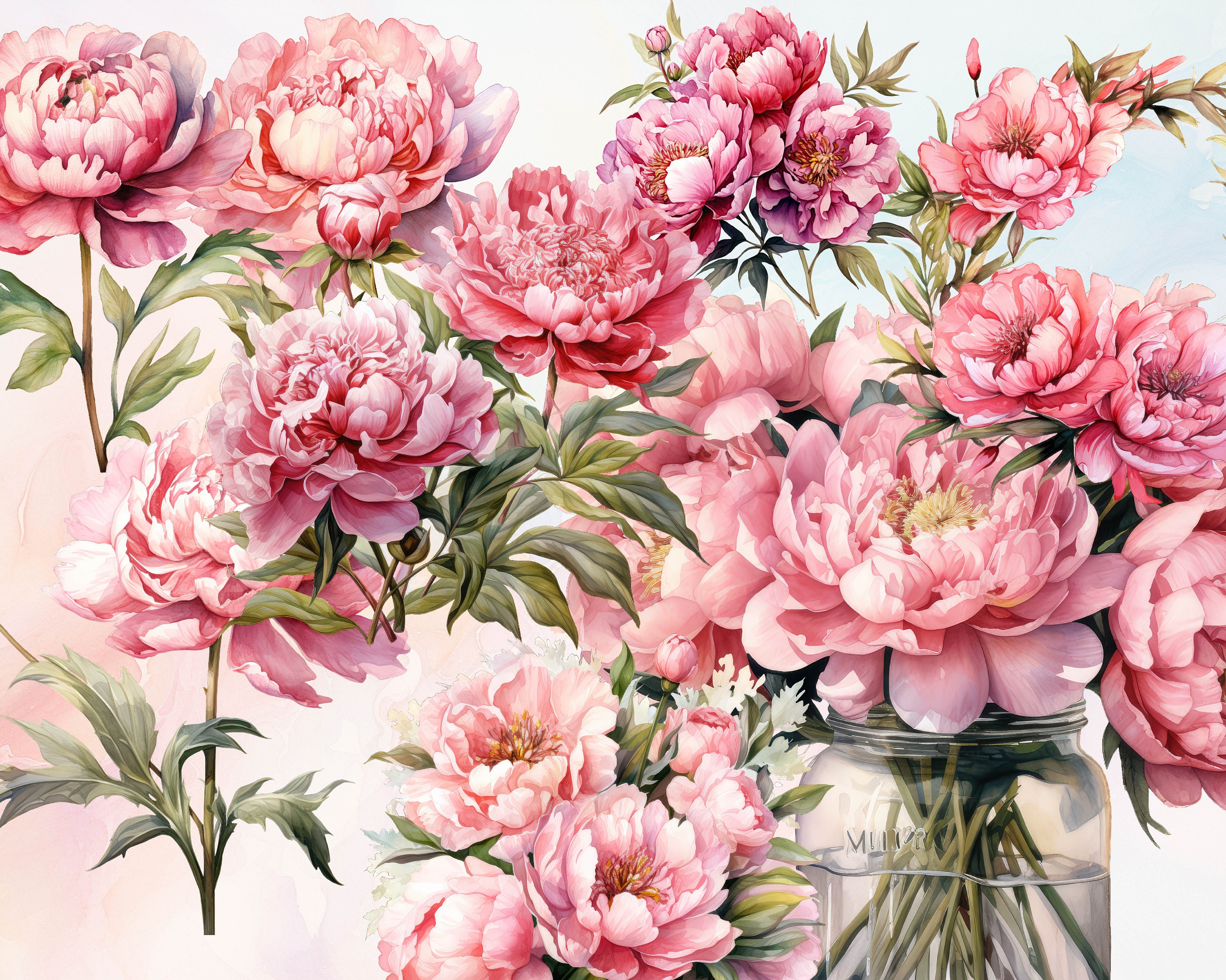 Pink Peony Clipart Collection Pack Watercolor Floral Illustrations ...