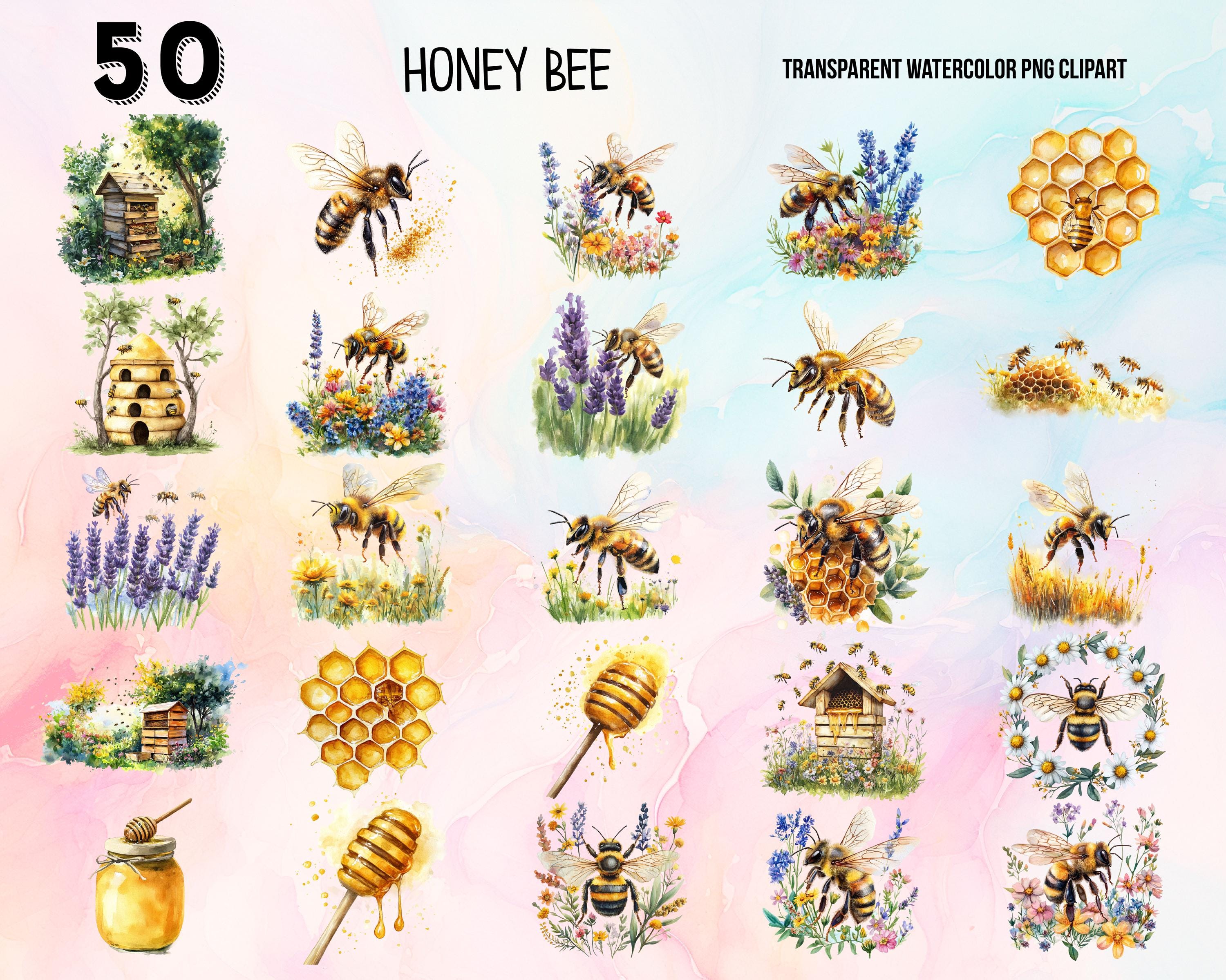 Honey Bee Watercolor Clipart - Beehive, Honey Jar, Dripping Honey, Bees ...