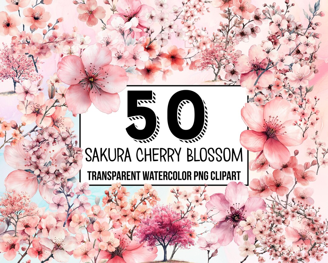 Cherry Blossom Sakura Watercolor Clipart, Sakura, Pink Blossom Tree PNG ...
