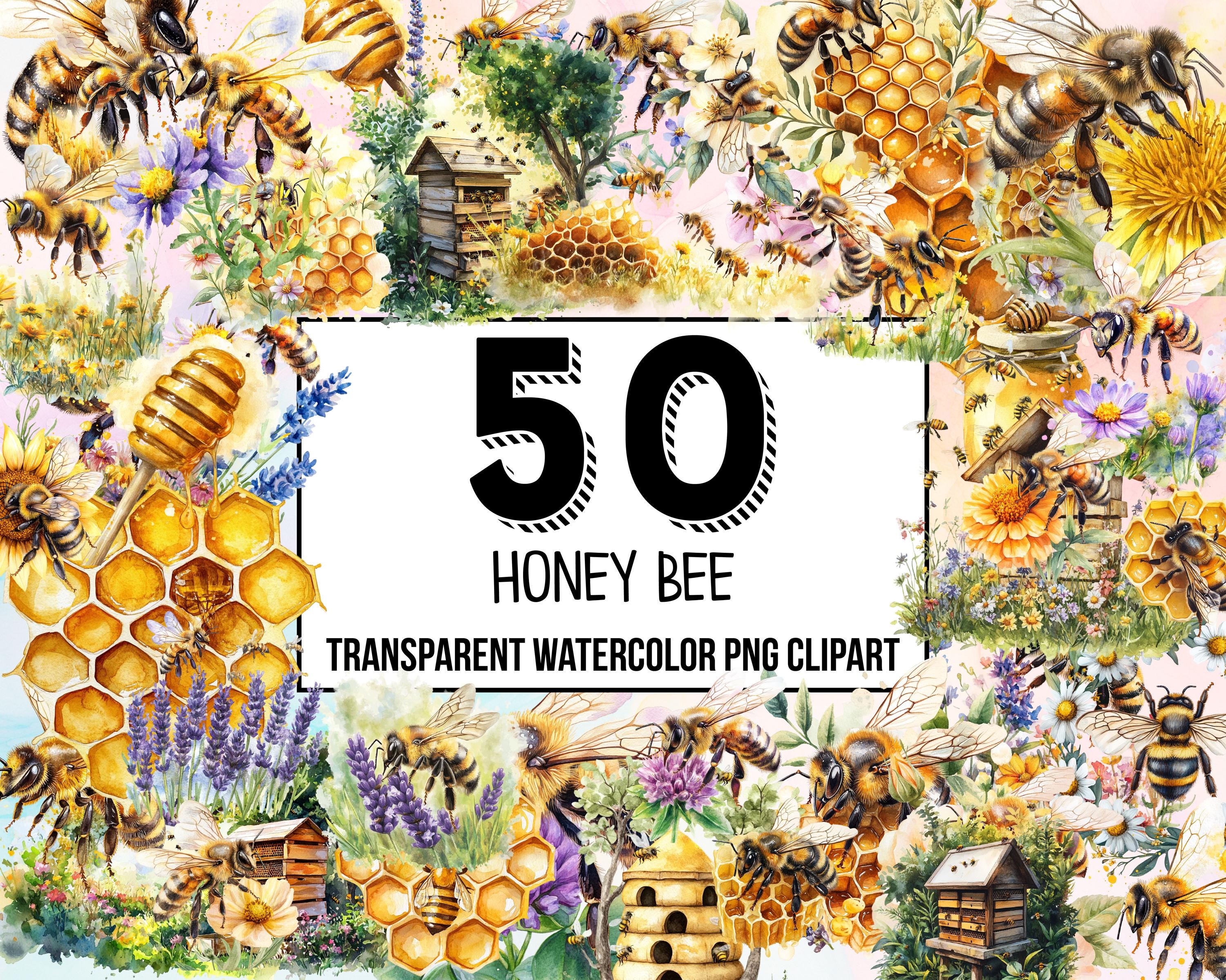 Honey Bee Watercolor Clipart - Beehive, Honey Jar, Dripping Honey, Bees ...