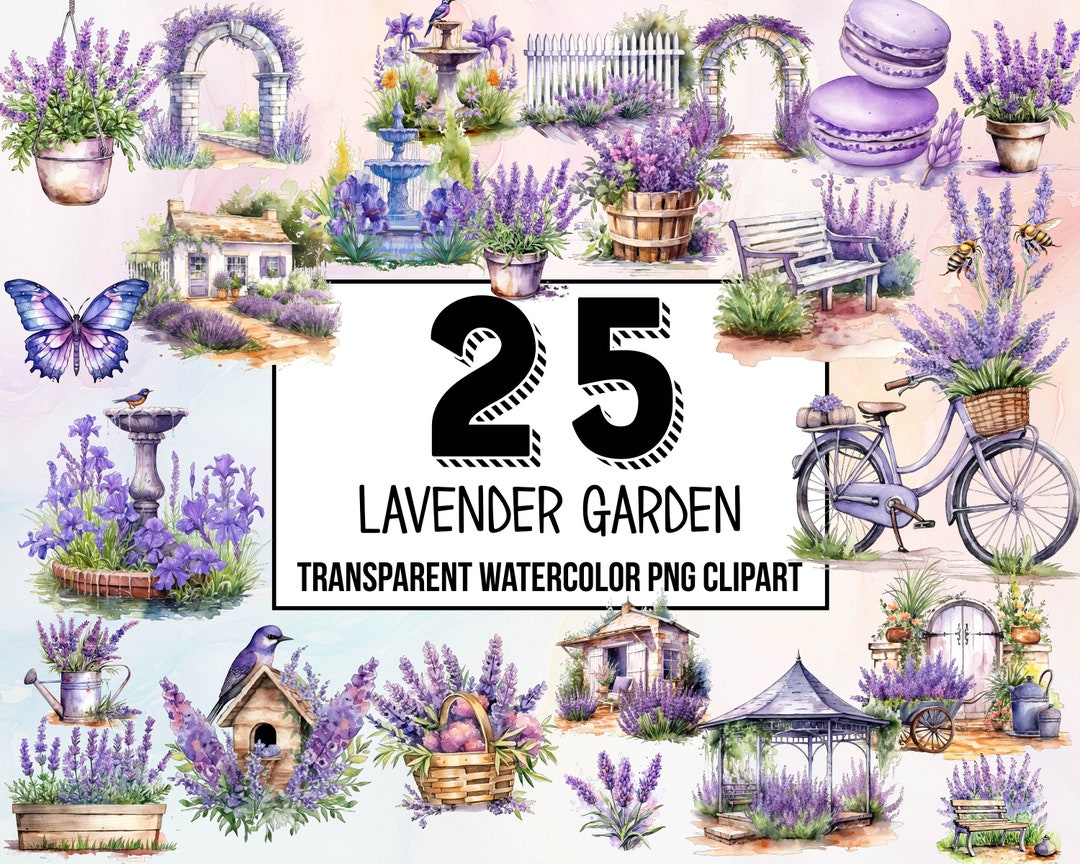 Lavender Garden Watercolor Clipart, Digital Floral Illustrations - Etsy