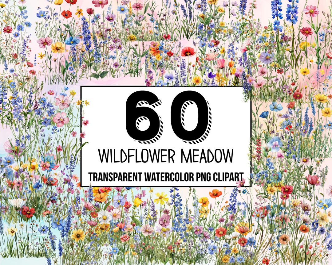 Wildflower Meadow Watercolor Clipart Bundle, Summer Floral Clipart ...