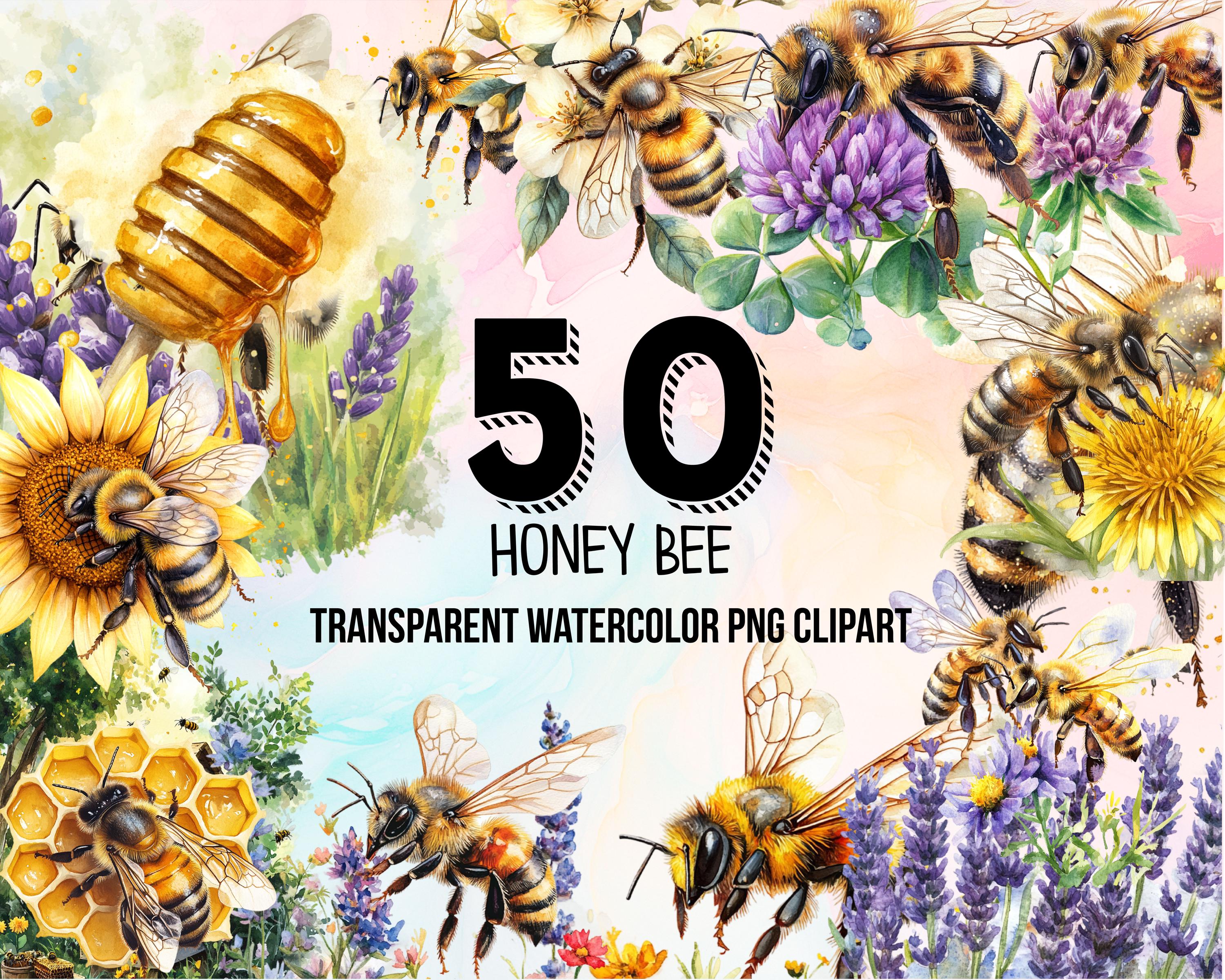 Honey Bee Watercolor Clipart - Beehive, Honey Jar, Dripping Honey, Bees ...