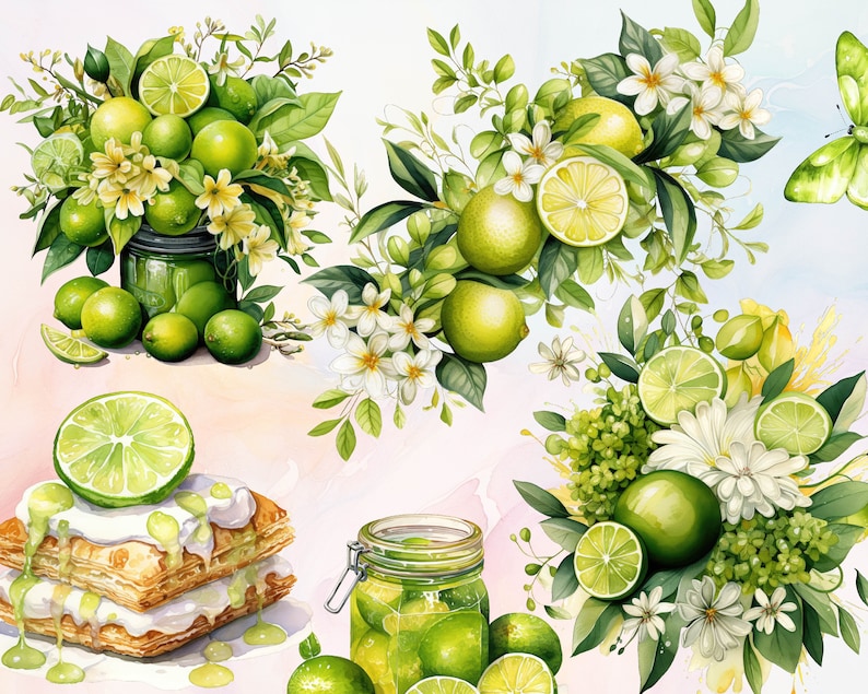 Key Lime Clipart Set - Watercolor Lime Illustrations - Citrus Fruit Art ...