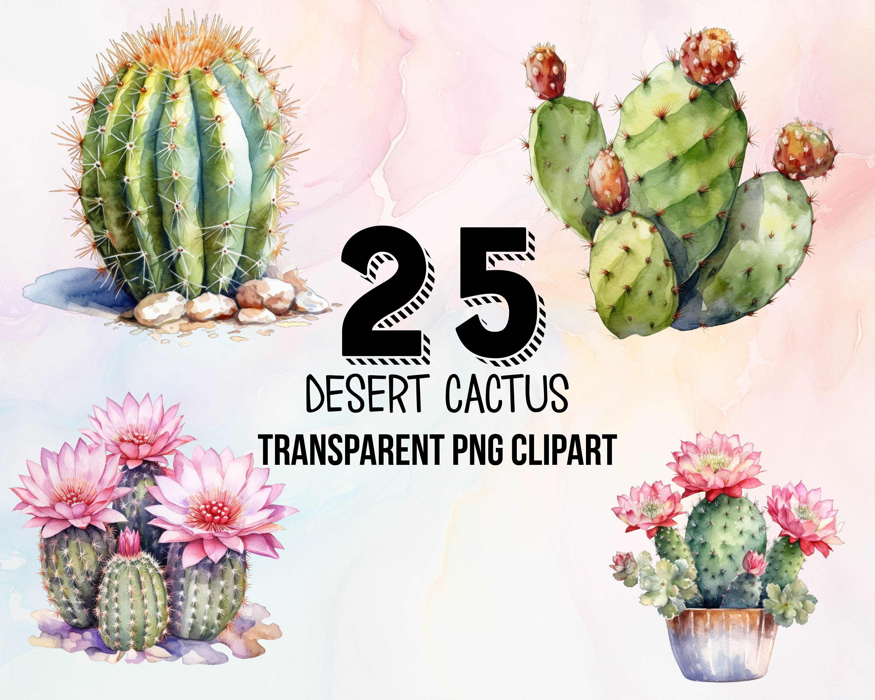 Desert Cactus Watercolor Clipart - Etsy