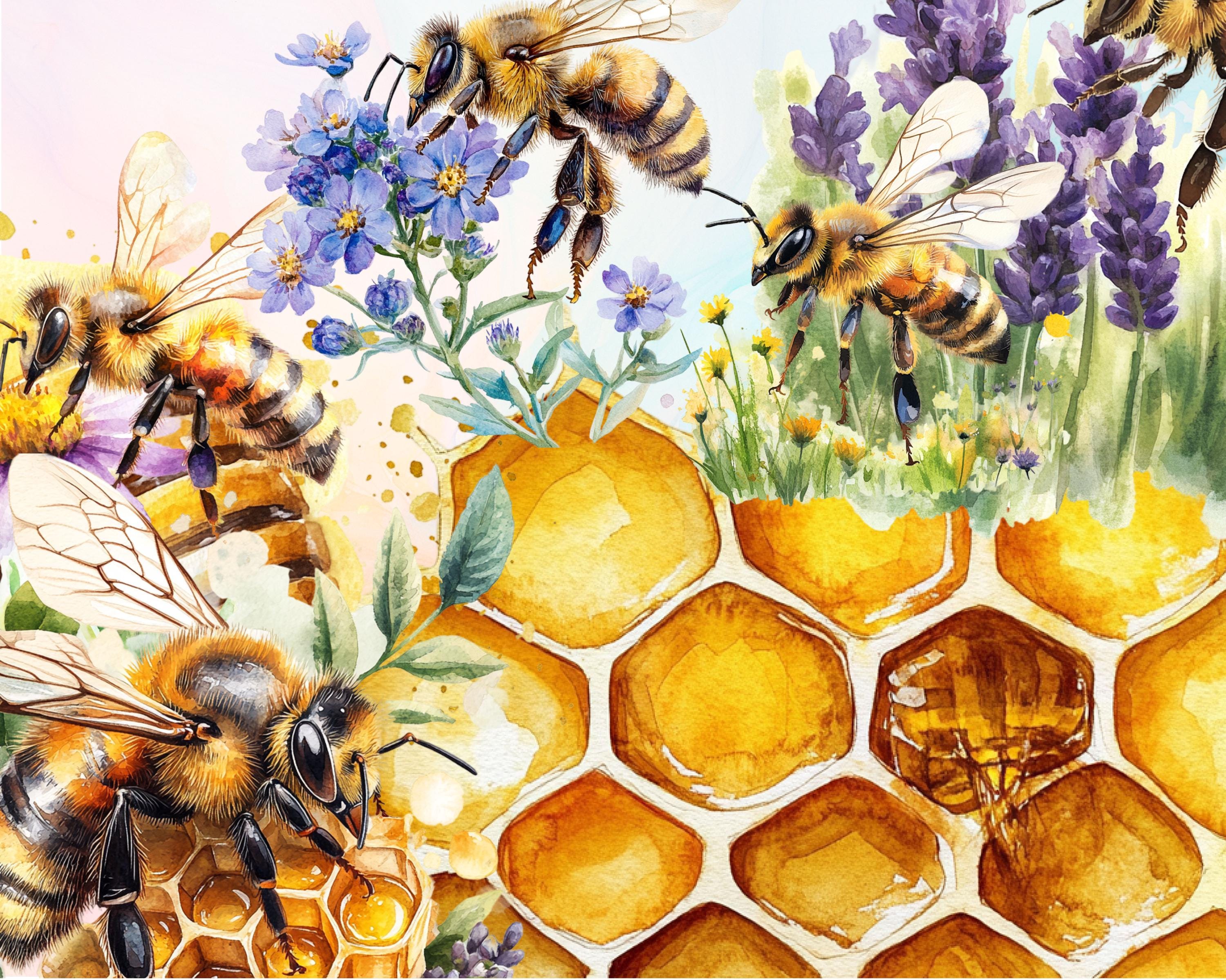 Honey Bee Watercolor Clipart - Beehive, Honey Jar, Dripping Honey, Bees ...