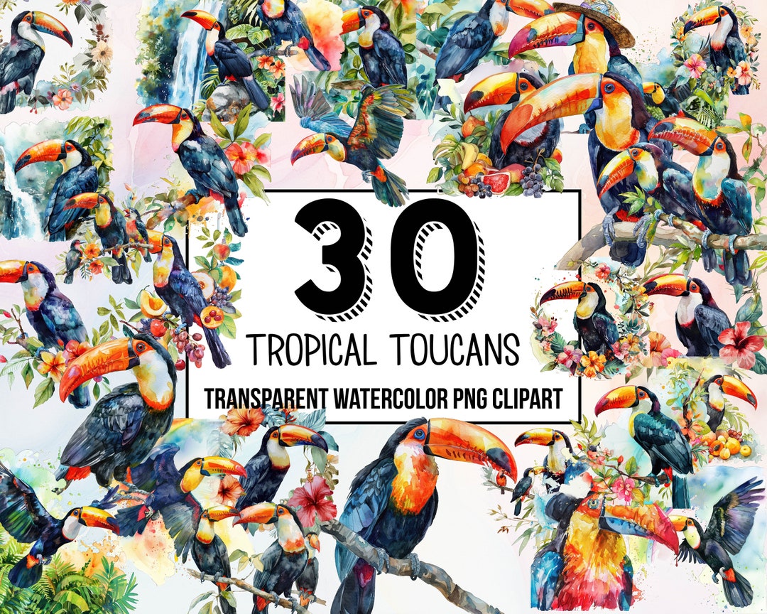 Tropical Toucans Clipart Set Digital Download, Digital Planner, Instant ...