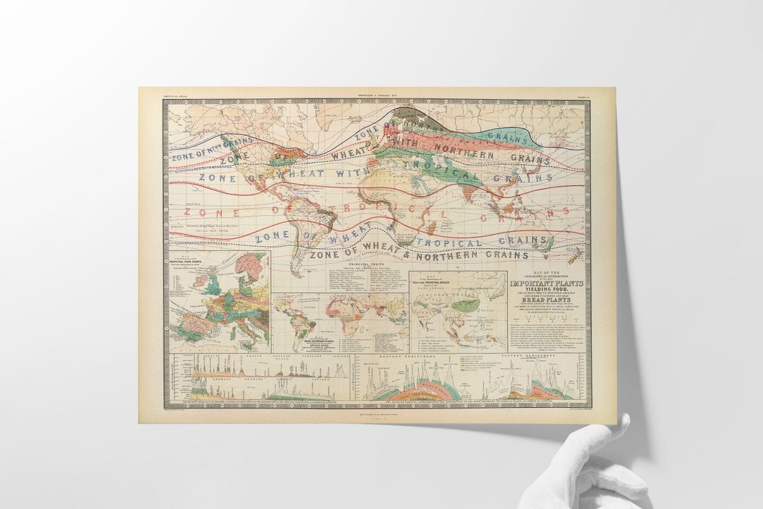1854 World Map of Important Food Plants Alexander Keith Johnston ...