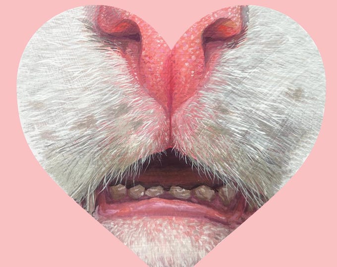 Print of Heart Shaped White Cat Teeth: Widdle Teef Home Decor - Etsy