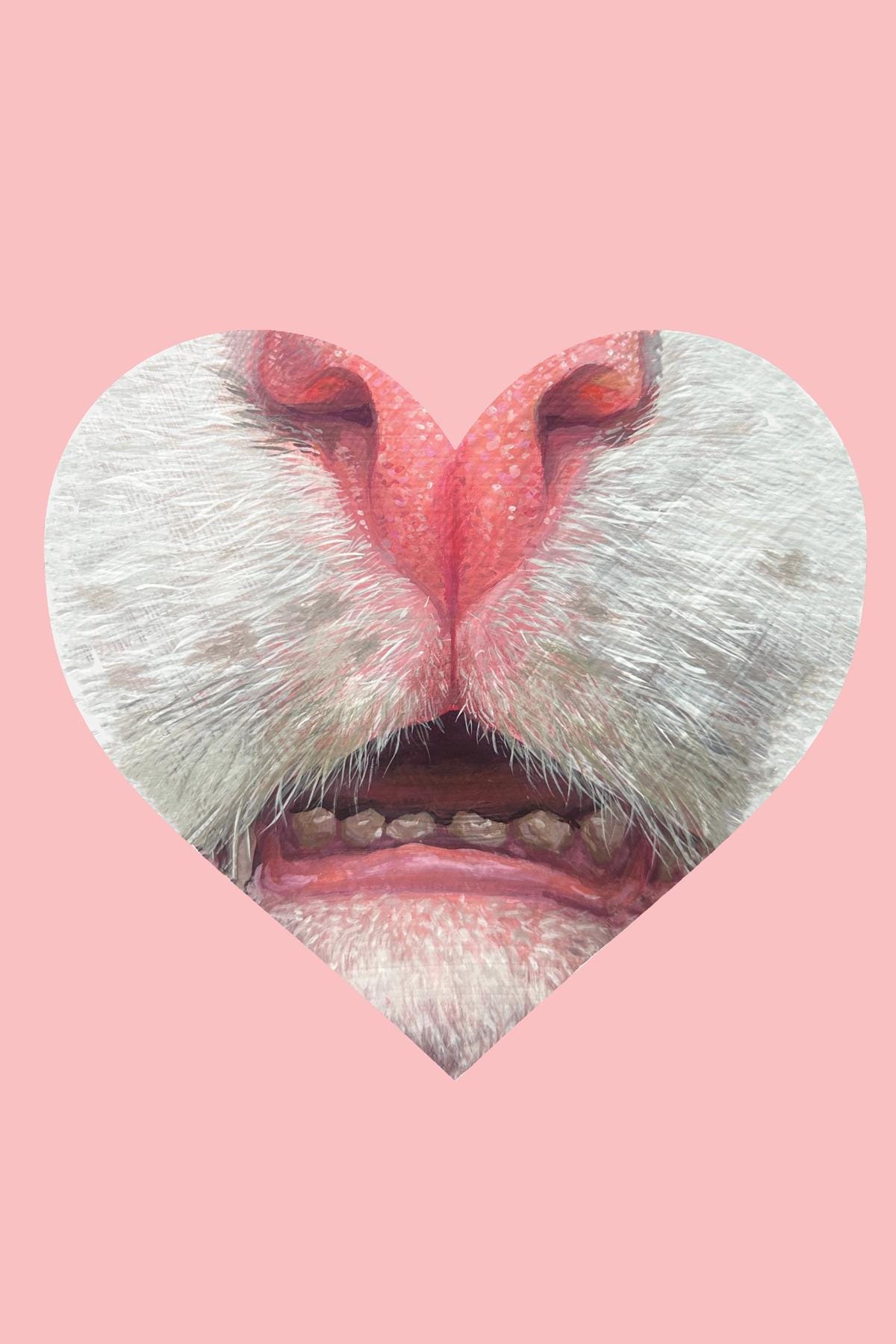 Print of Heart Shaped White Cat Teeth: Widdle Teef Home Decor - Etsy