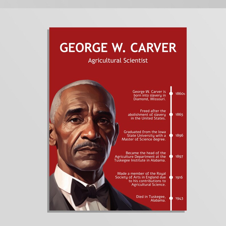 Black Scientists Timeline Poster Set: STEM Classroom Decor (digital ...