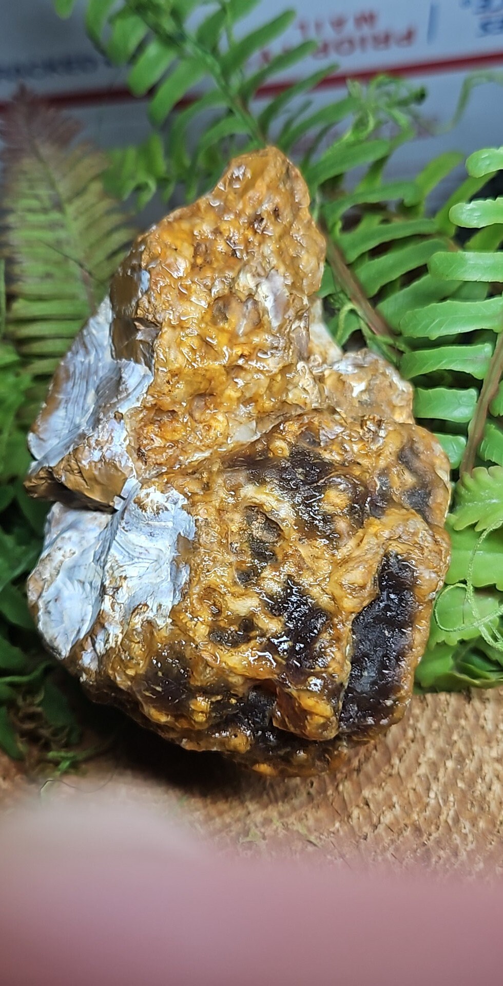 186g Chunky Fortification Banded Buckskin Carnelian/agate Nodule ...