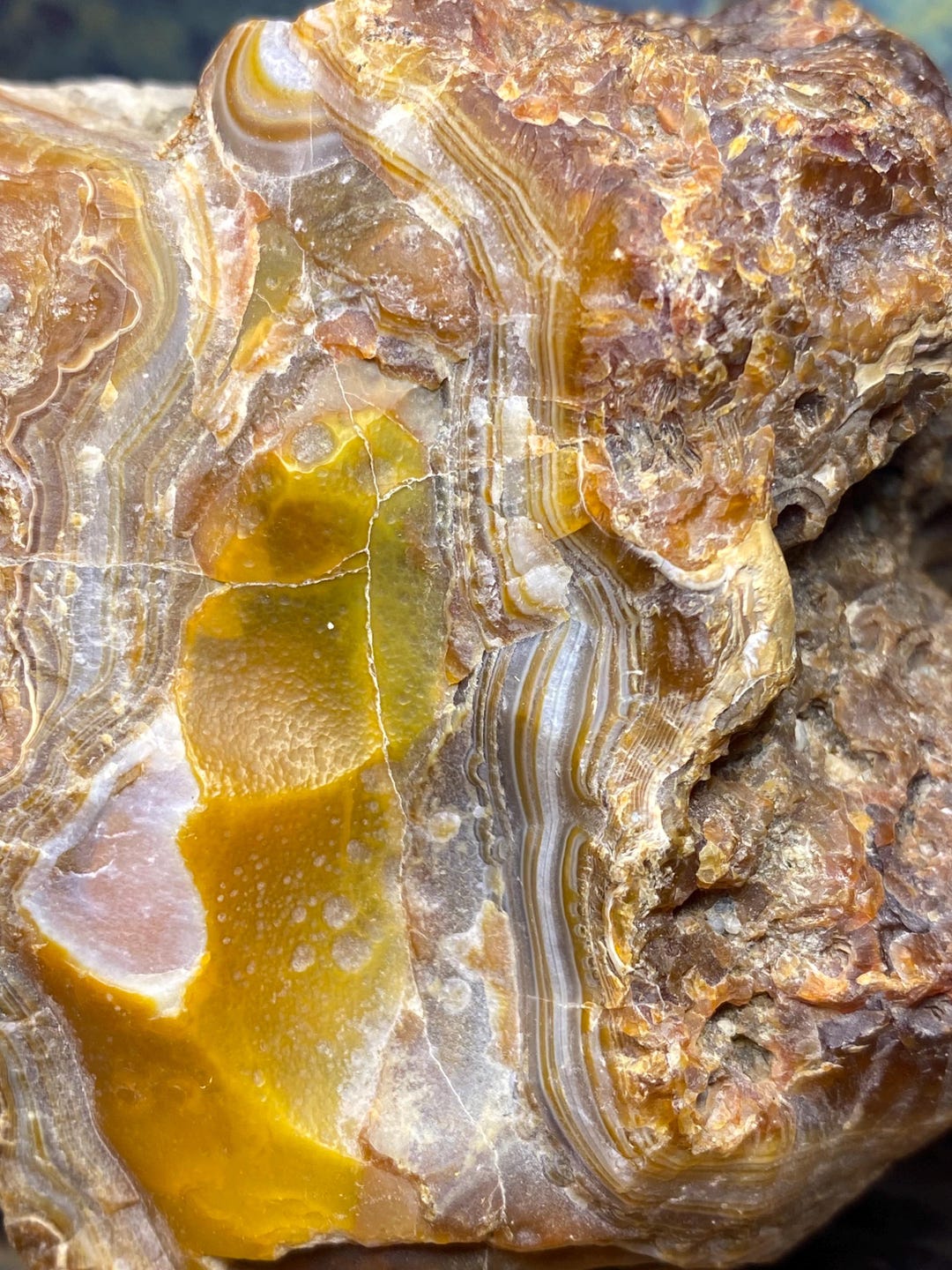 BADGER PRIVATE COLLECTION Piece!!!beautifully Fortified Carnelian Agate ...