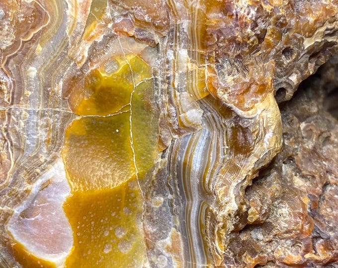 BADGER PRIVATE COLLECTION Piece!!!beautifully Fortified Carnelian Agate ...