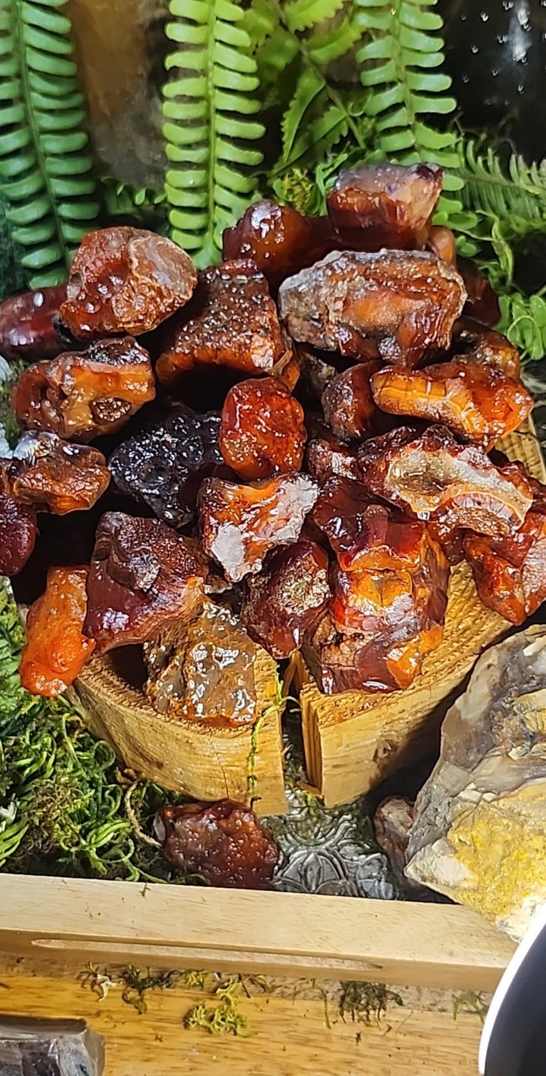 ALL Red Colorful Carnelian Agates SW Washington Beautiful Stones for ...