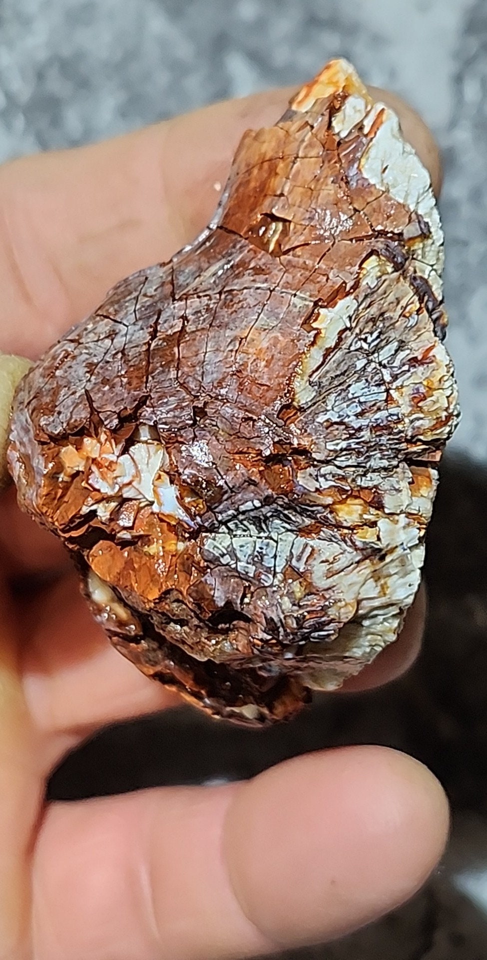 EXTREMELY RARE Multi Colored Fortification Agate With Crystal ...