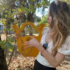 24 String Harp, Professional Instrument Gift, String Instruments ...