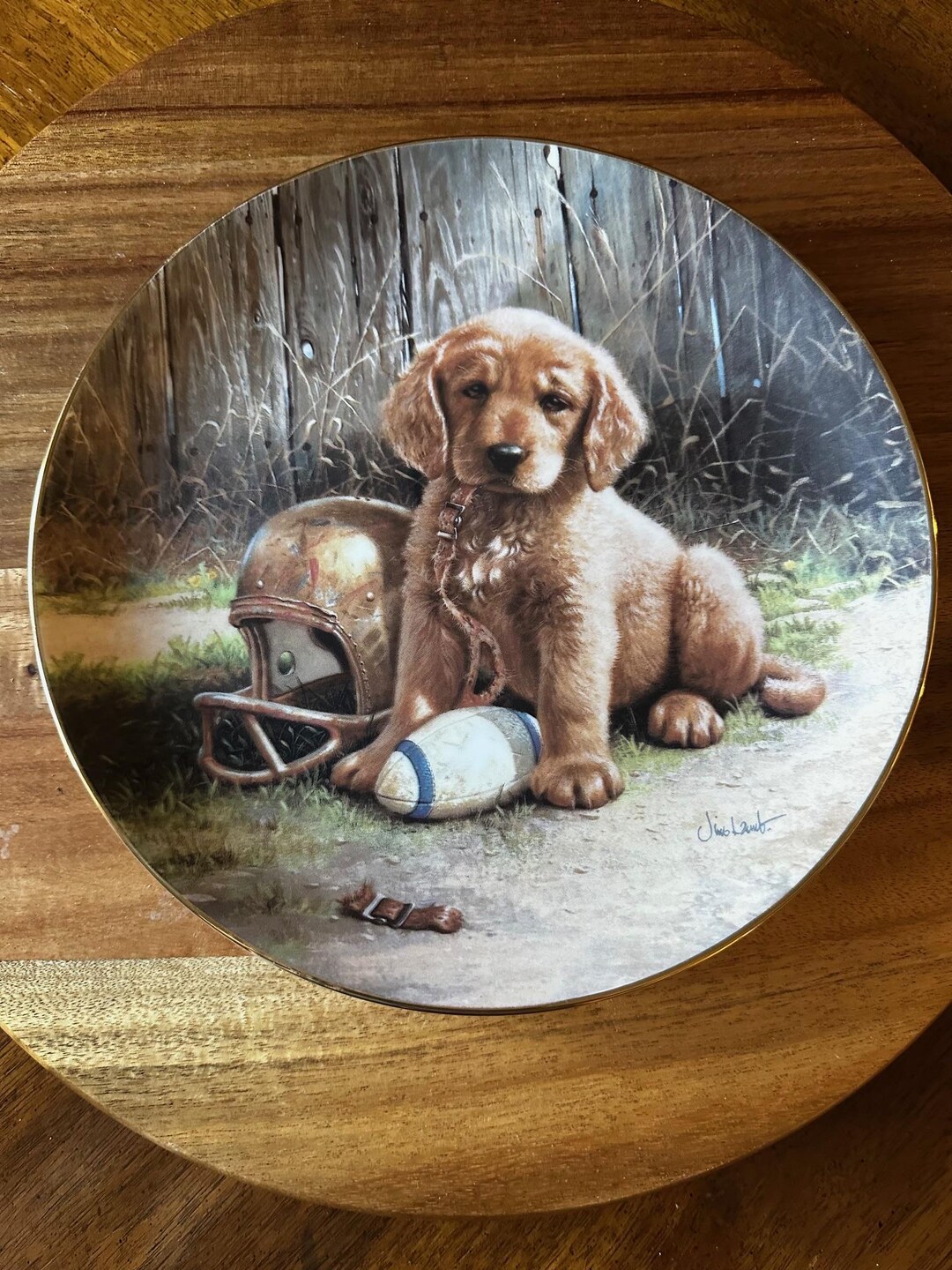 Vintage Golden Retriever Puppy Display Plate/wide Retriever Wall Art ...