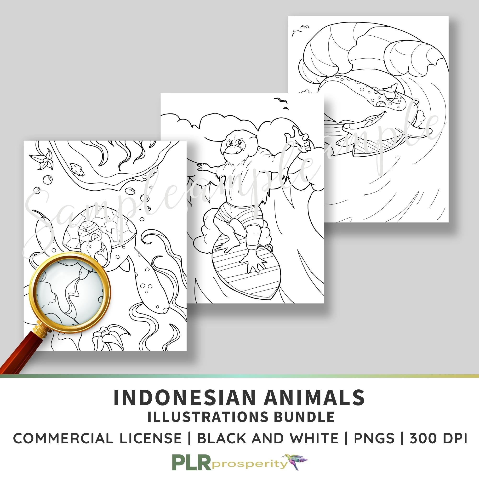 Indonesian Animal Coloring Page Bundle for Children With Commerical ...