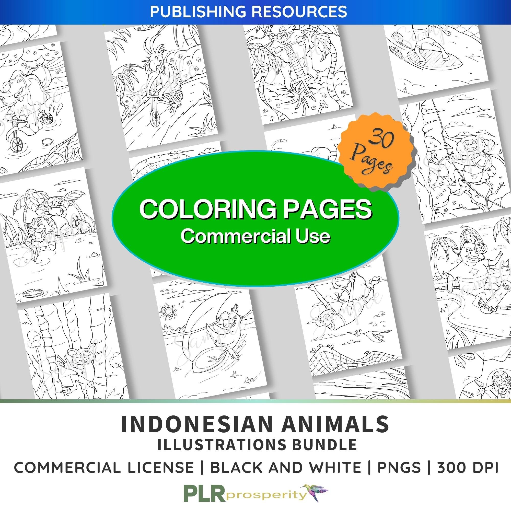 Indonesian Animal Coloring Page Bundle for Children With Commerical ...
