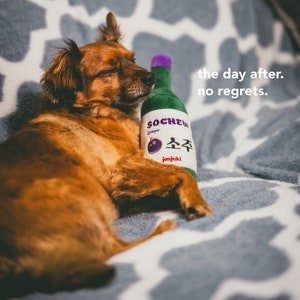 Sochew (soju) Bottle Dog Plush Toys With Squeaker - Strawberry - Grape ...