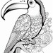 Exotic Birds Coloring Pages, Adults Printable Coloring Page, Parrots ...