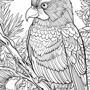 Exotic Birds Coloring Pages, Adults Printable Coloring Page, Parrots ...