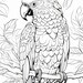 Exotic Birds Coloring Pages, Adults Printable Coloring Page, Parrots ...