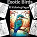 Exotic Birds Coloring Pages, Adults Printable Coloring Page, Parrots ...