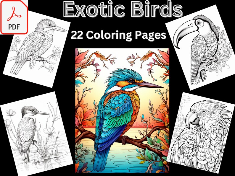 Exotic Birds Coloring Pages Adults Printable Coloring Page - Etsy