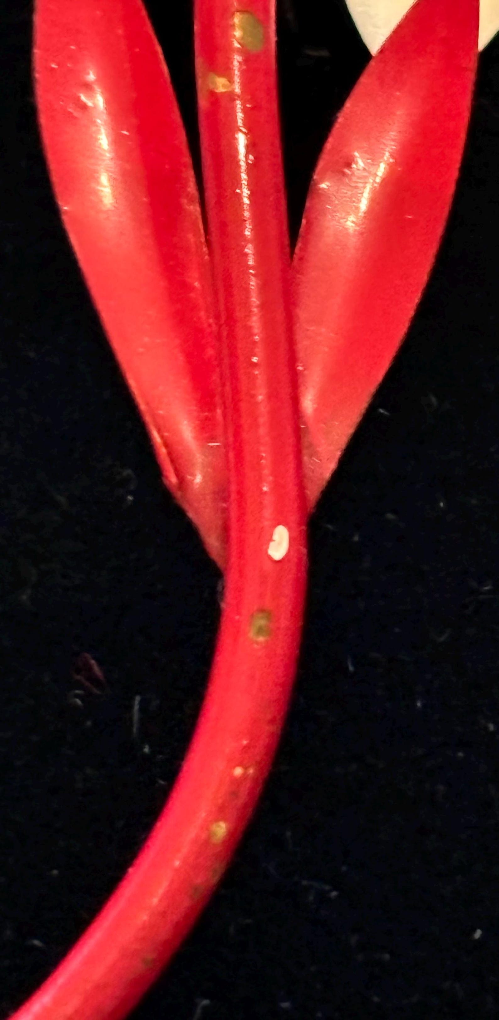 Vintage Sterling Catherine Popesco Black & Goldtone Enameled Pin - Etsy