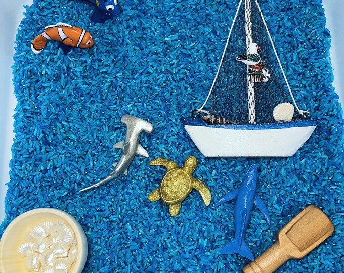 Finding Nemo Play Kit | Finding Nemo Sensory Bin | Montessori Play Kit ...