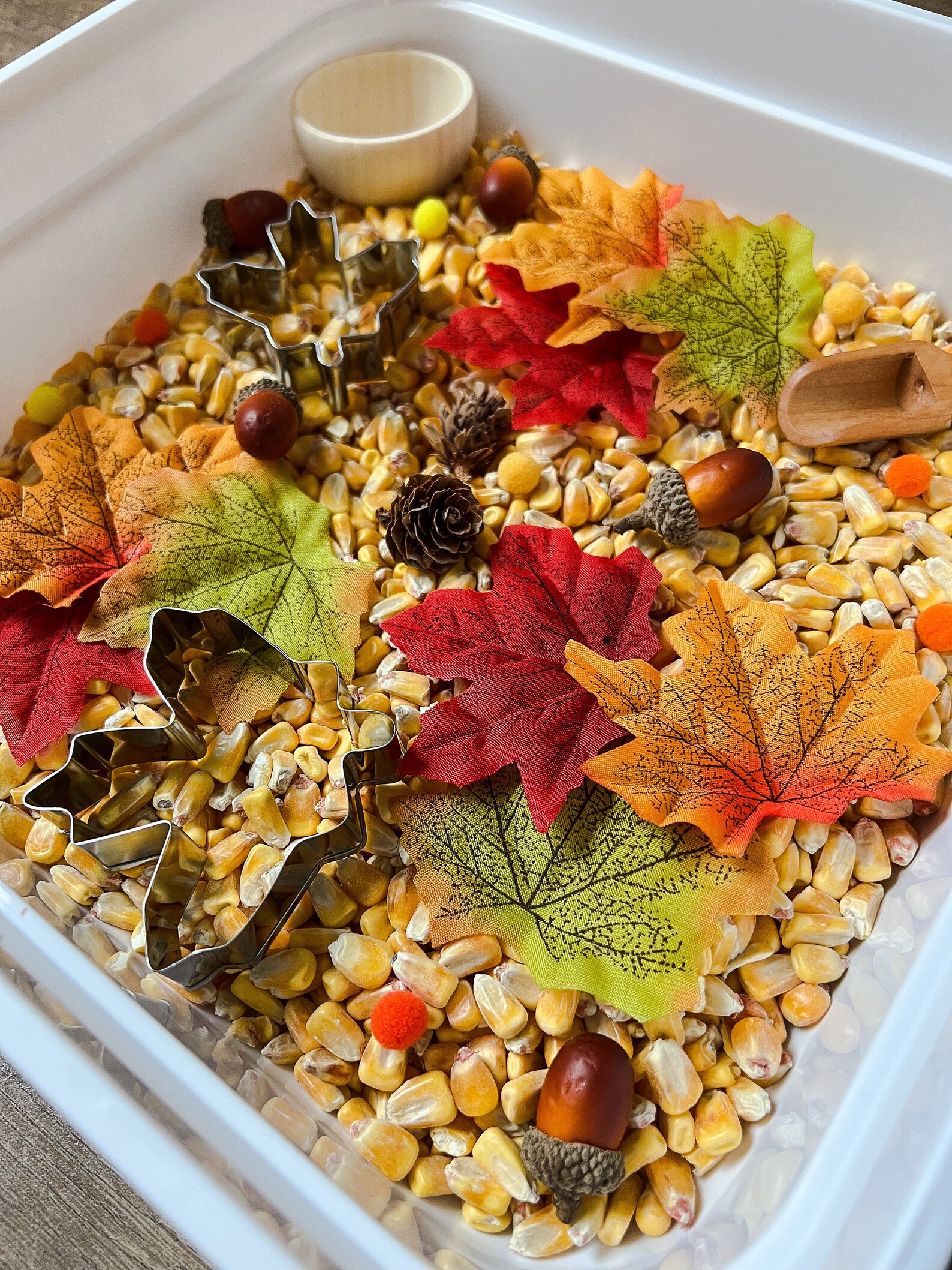Fall Play Kit | Fall Sensory Bin | Gender Neutral Play | Montessori Toy ...