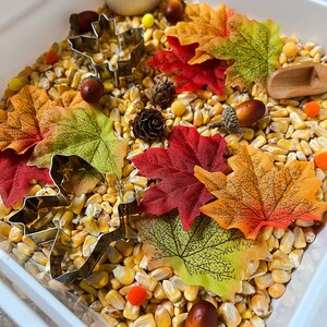 Fall Play Kit | Fall Sensory Bin | Gender Neutral Play | Montessori Toy ...
