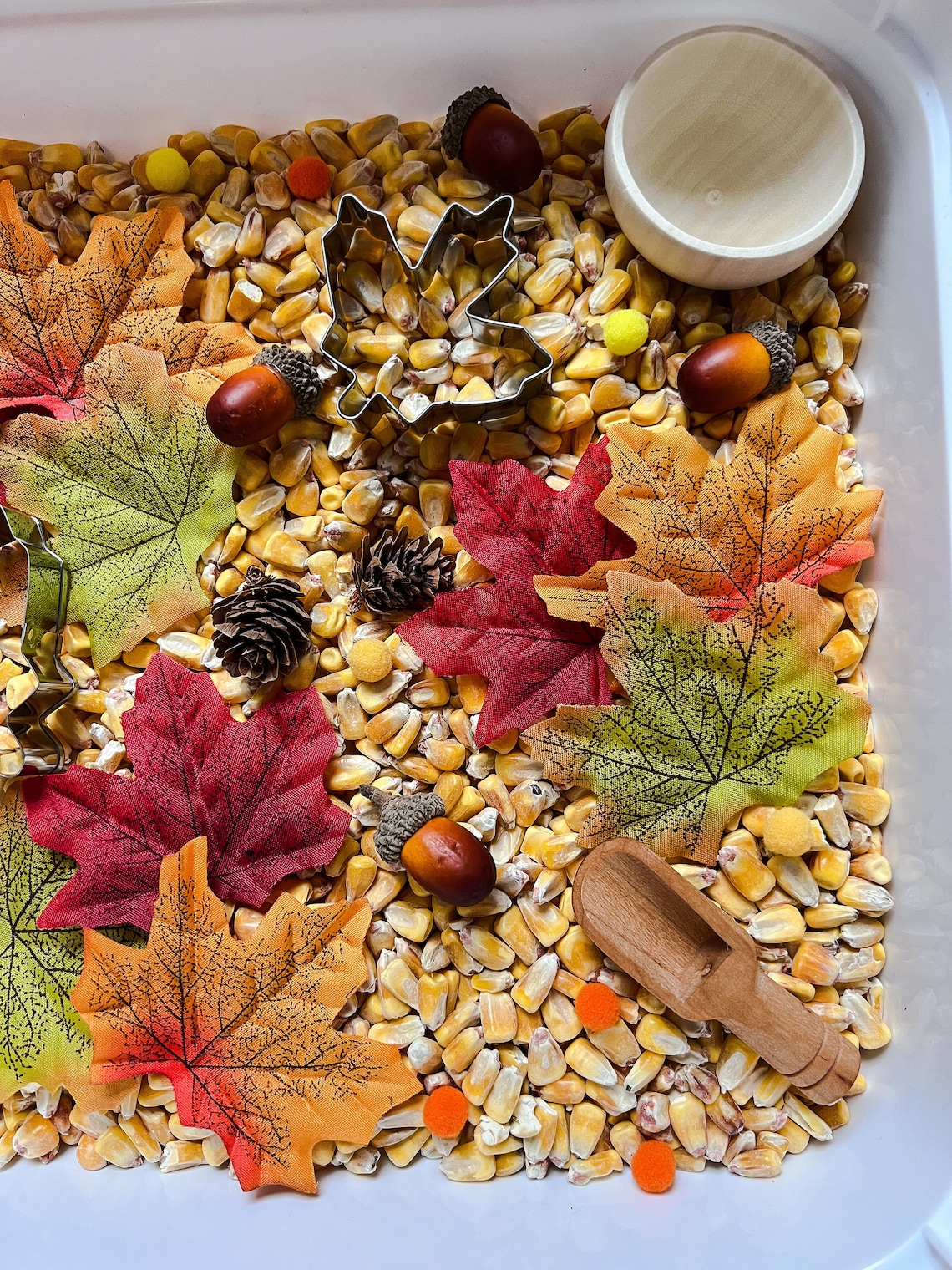 Fall Play Kit | Fall Sensory Bin | Gender Neutral Play | Montessori Toy ...