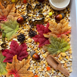 Fall Play Kit | Fall Sensory Bin | Gender Neutral Play | Montessori Toy ...