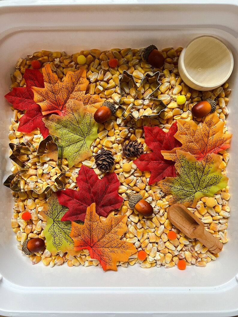 Fall Play Kit | Fall Sensory Bin | Gender Neutral Play | Montessori Toy ...