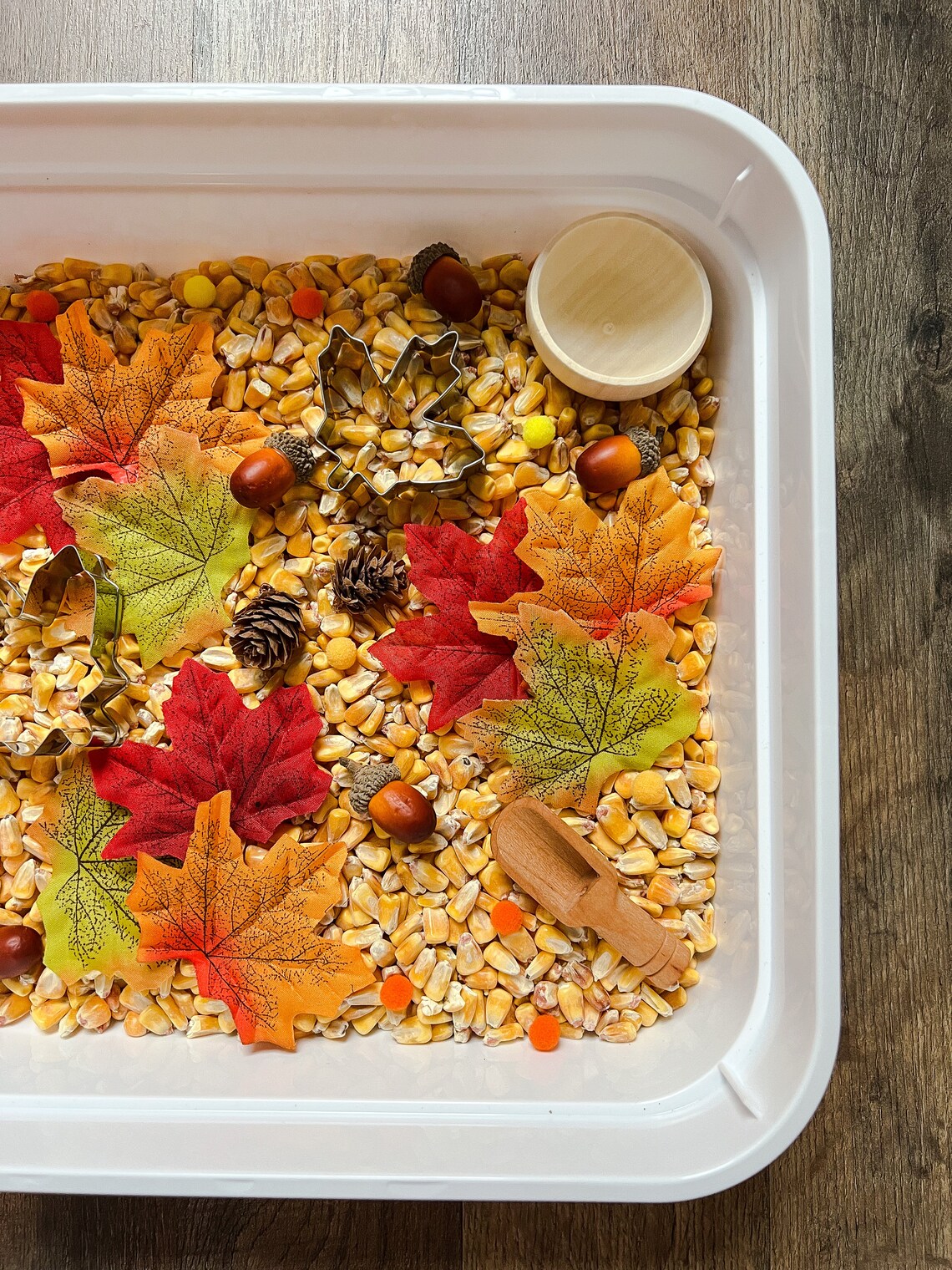 Fall Play Kit | Fall Sensory Bin | Gender Neutral Play | Montessori Toy ...