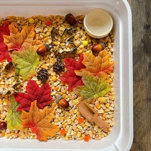 Fall Play Kit | Fall Sensory Bin | Gender Neutral Play | Montessori Toy ...