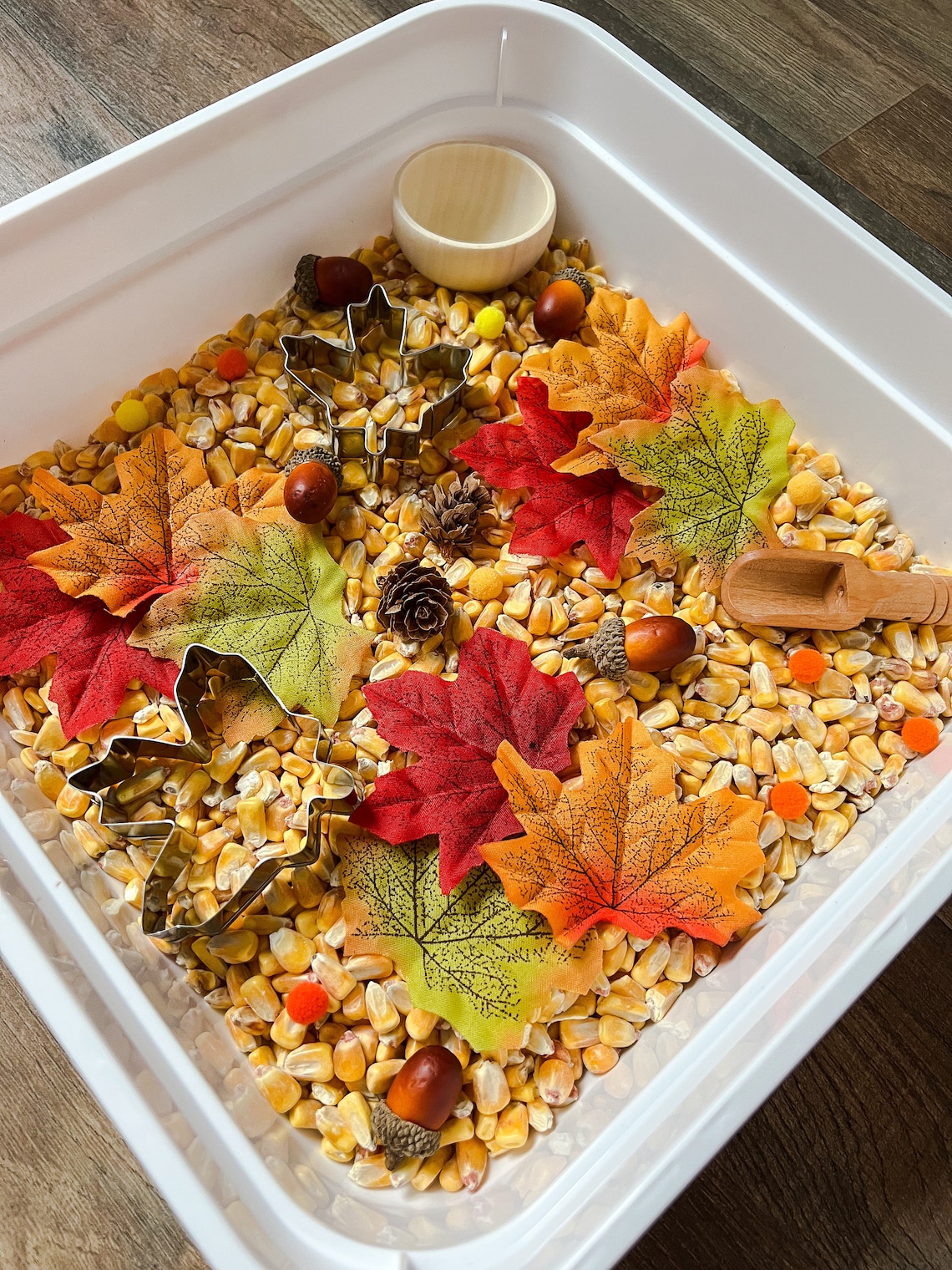 Fall Play Kit | Fall Sensory Bin | Gender Neutral Play | Montessori Toy ...