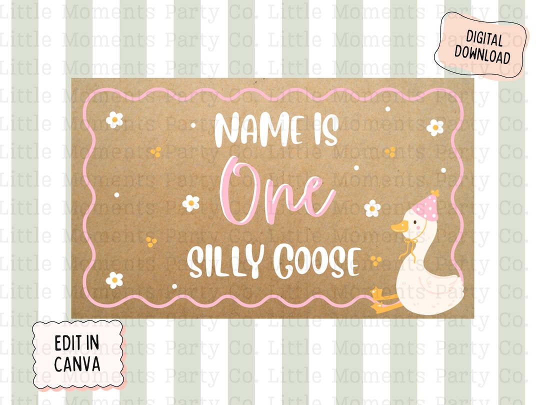 Silly Goose 1st Birthday Banner, Editable Canva Template (36x60 Digital ...