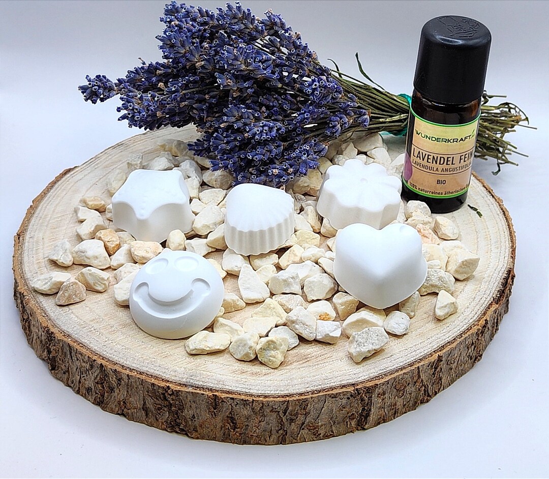 Different Scent Stone Variants Heart Starfish Shell Flower - Etsy