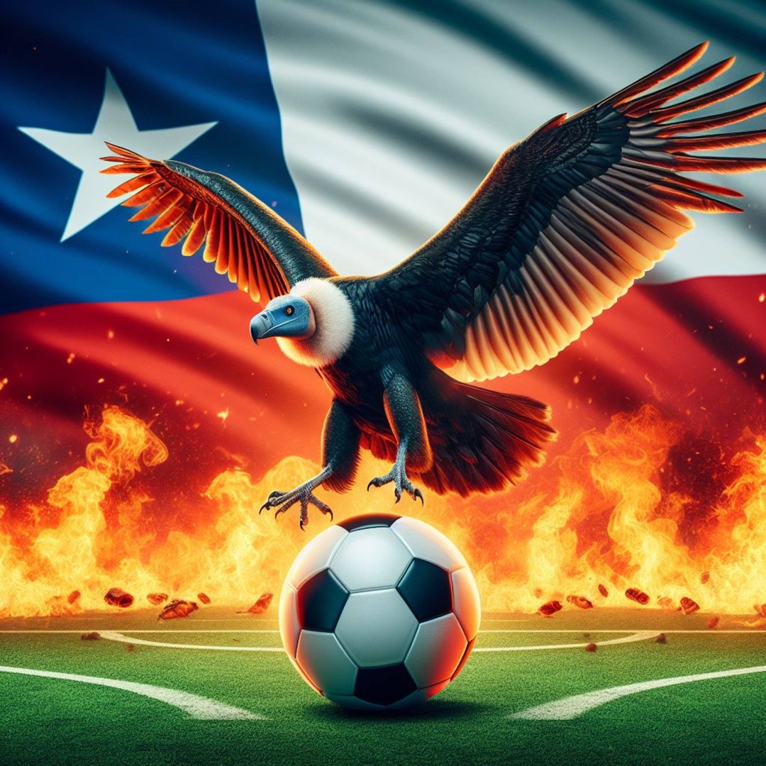 Condor Soccer Ball Chile Flag 20oz Tumbler Sublimation Design Soccer ...