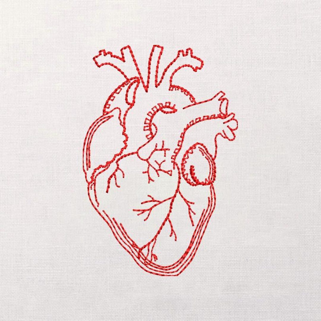 Human Heart Outline Embroidery Design, Redwork Anatomy Pattern, Medical ...